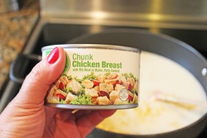 Cheesy Ranch Pasta and Chicken Skillet (another 30 Minute Dinner)