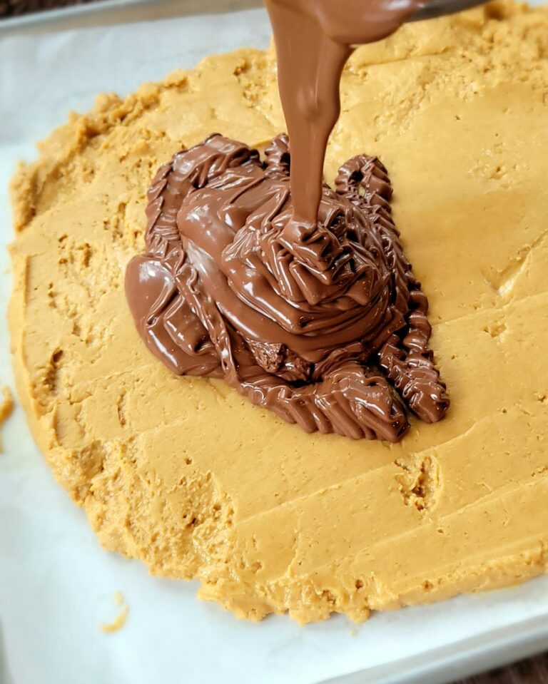 Easy No Bake Peanut Butter Cup Bars (5 ingredients) - Jamie Cooks It Up