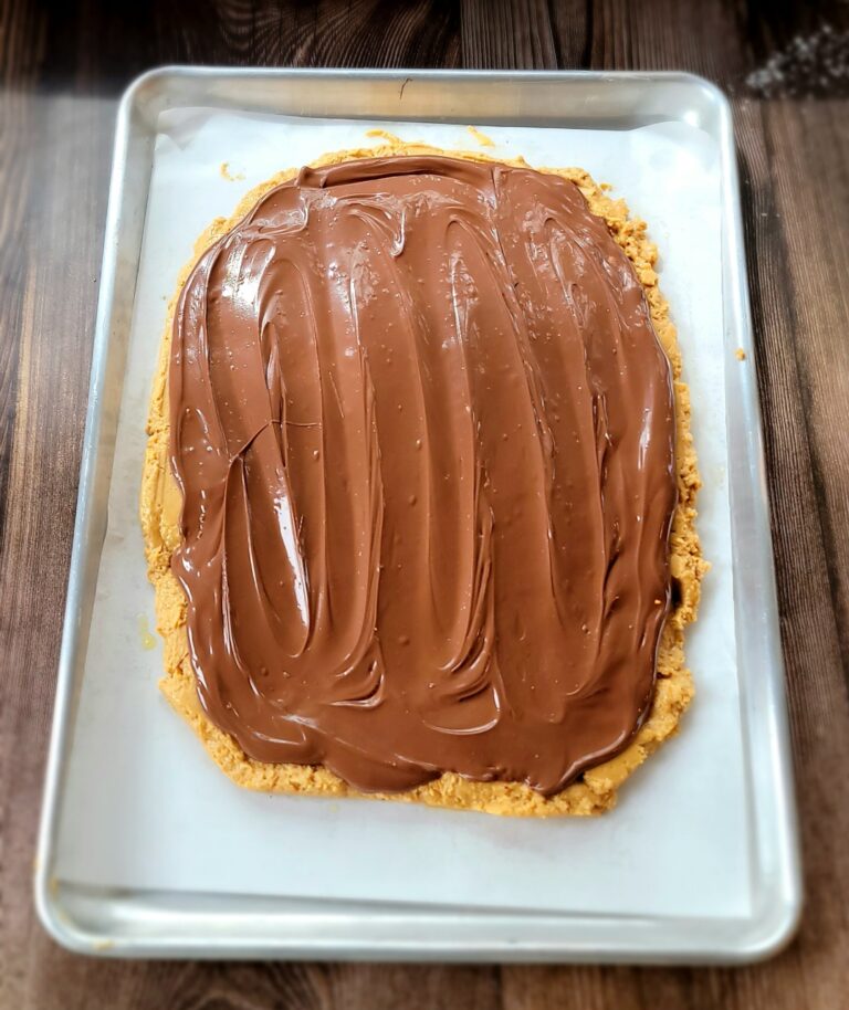 Easy No Bake Peanut Butter Cup Bars (5 ingredients) - Jamie Cooks It Up